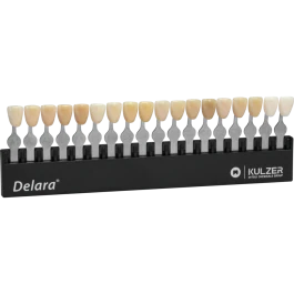 Delara® Shade Guide