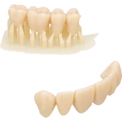 dima® Print Denture Teeth